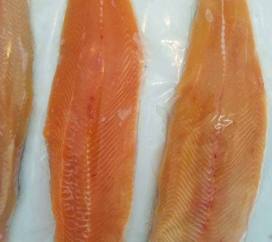 Filet d’omble de l’arctique du québec – Epipresto